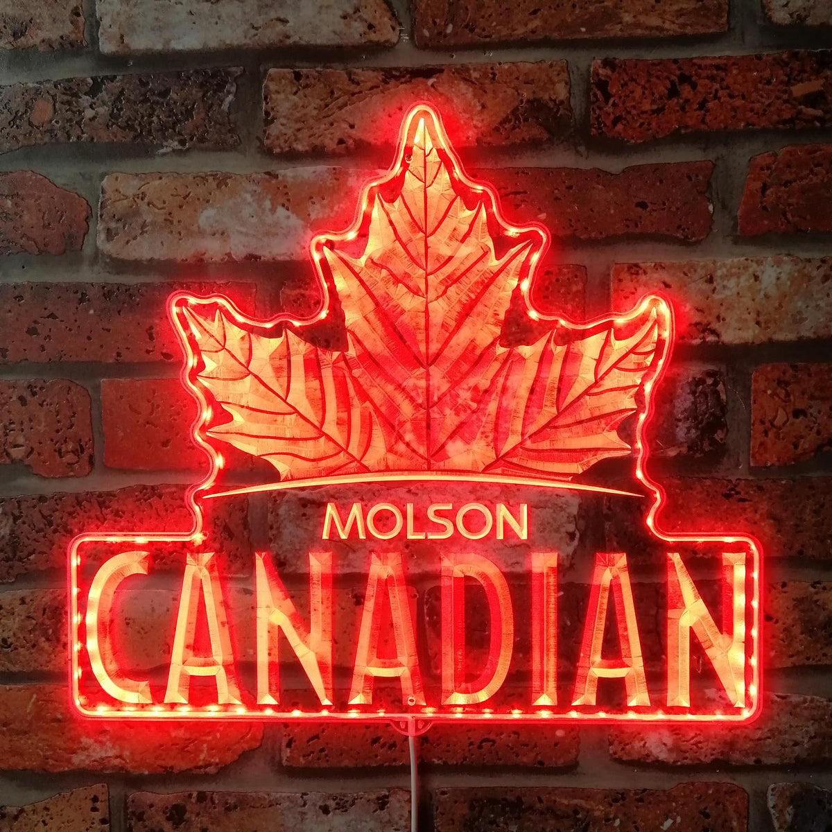 Molson Canadian Dynamic RGB Edge Lit LED Sign | LED LAB CAVE