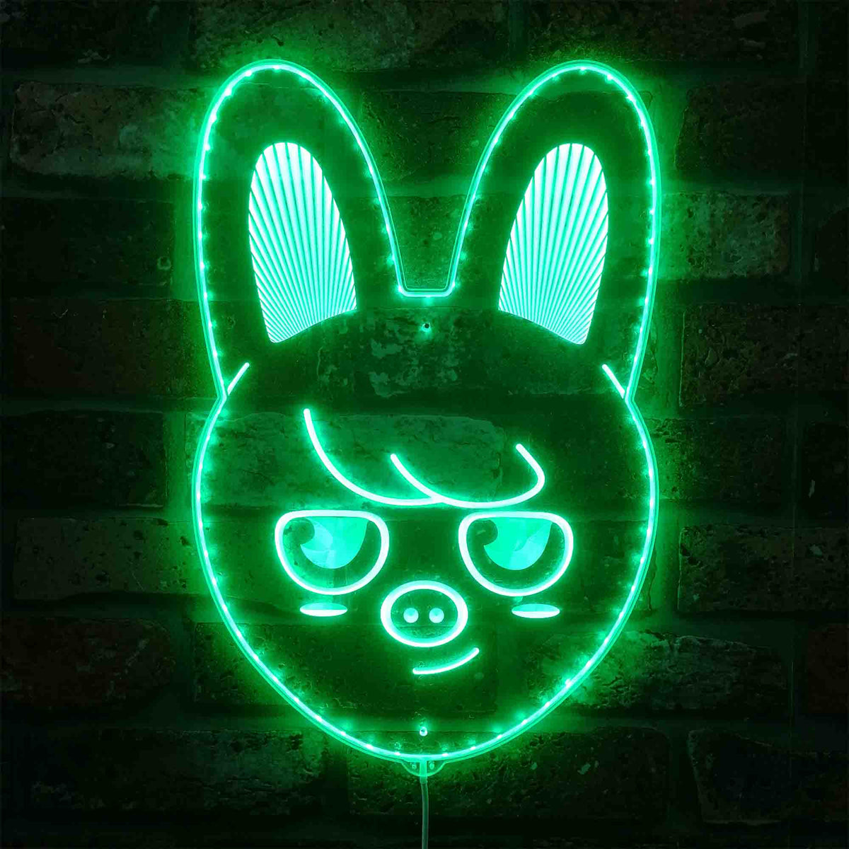 Skzoo Dwakki Dynamic RGB Edge Lit LED Sign | PROLEDSIGN
