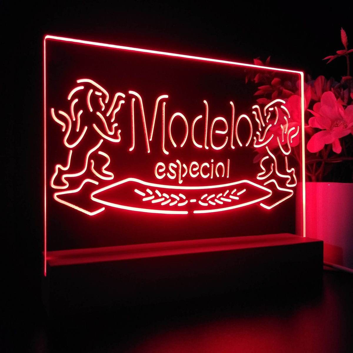 Modelos Especials Beers Lions 3D LED Optical Illusion Night Light | LED ...