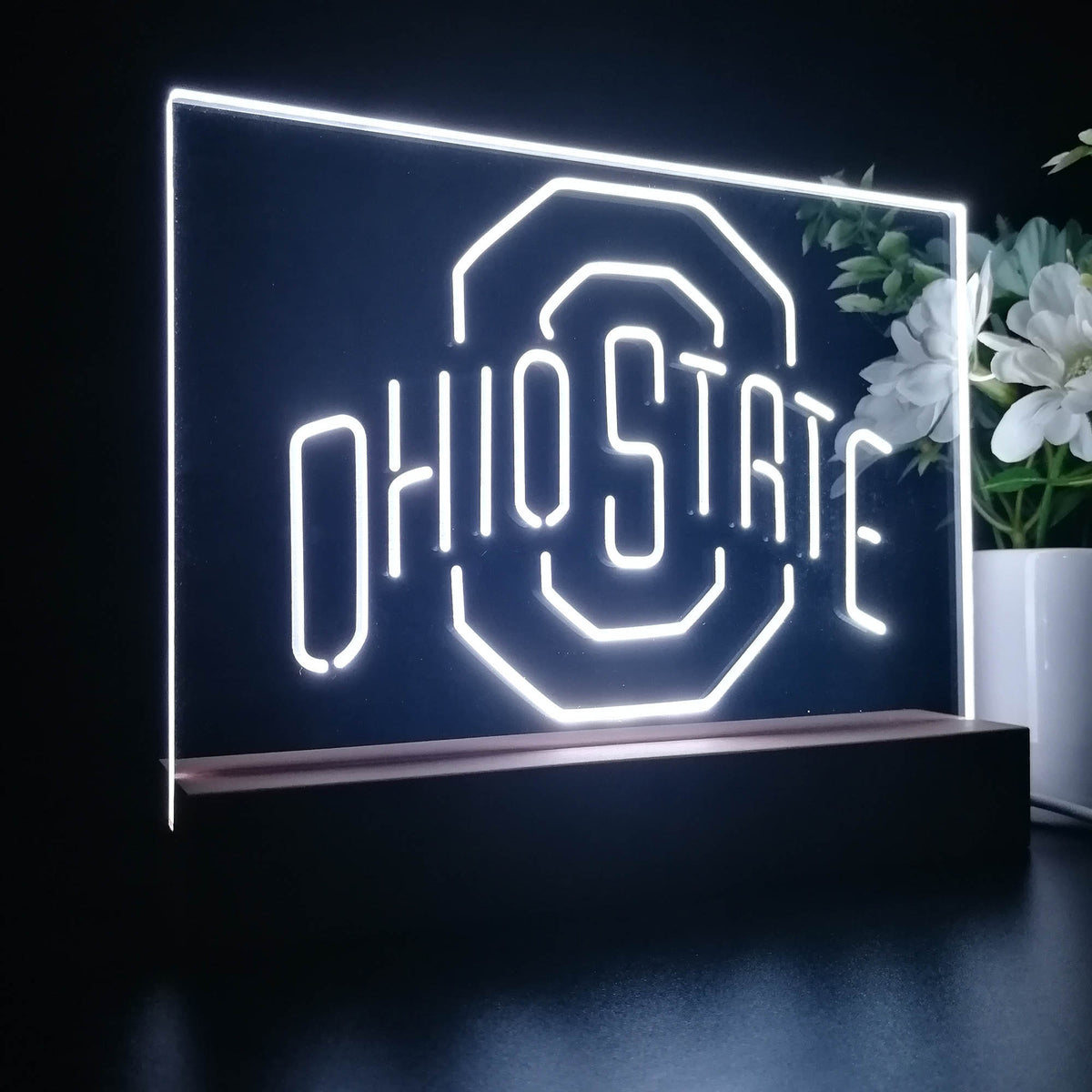 Ohio State Buckeyes 3D LED Optical Illusion Sport Team Night Light ...