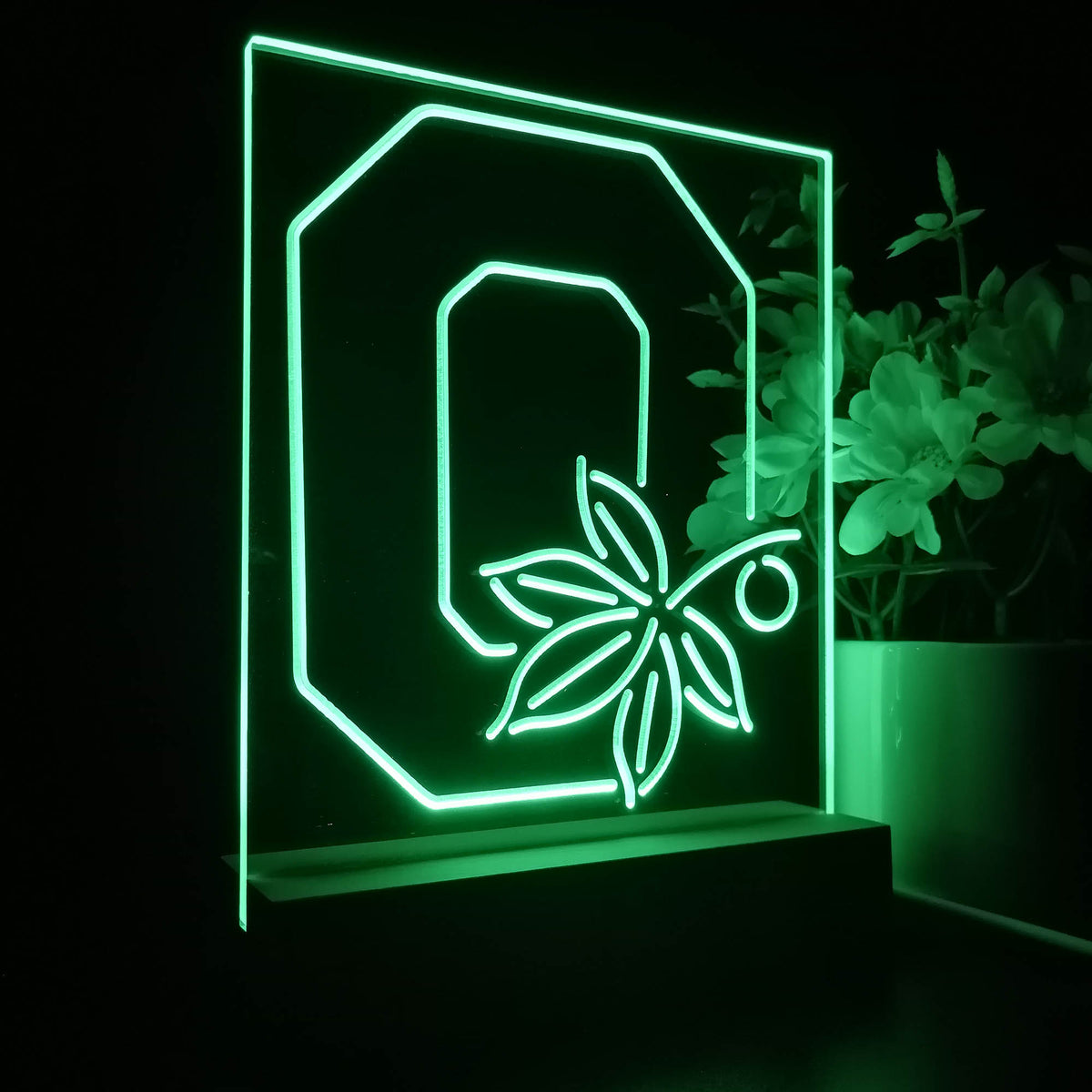 Ohio State Buckeyes 3D LED Optical Illusion Sport Team Night Light ...