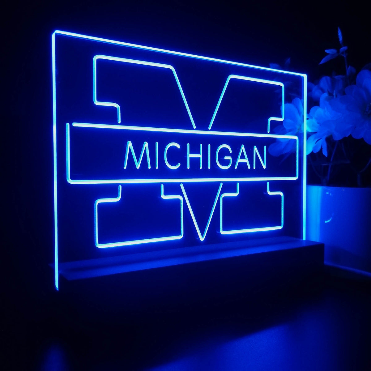 Michigan Wolverines 3D LED Optical Illusion Night Light | LED LAB CAVE