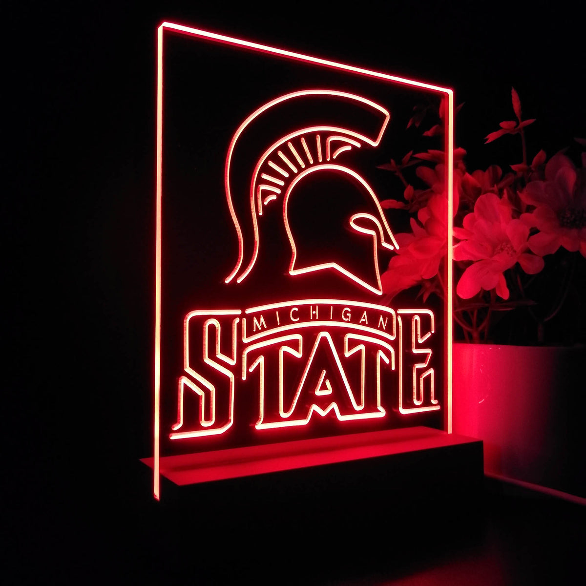 Michigan State Spartans,NCAA 3D LED Optical Illusion Sport Team Night ...