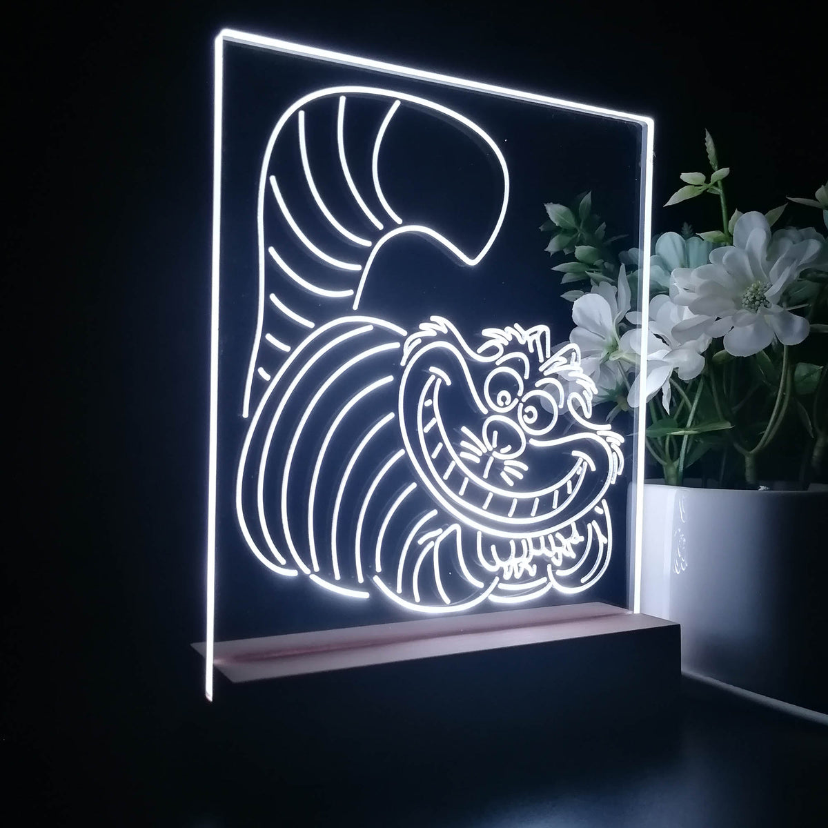 The Cheshire Cat Alice in Wonderland 3D LED Optical Illusion Night ...